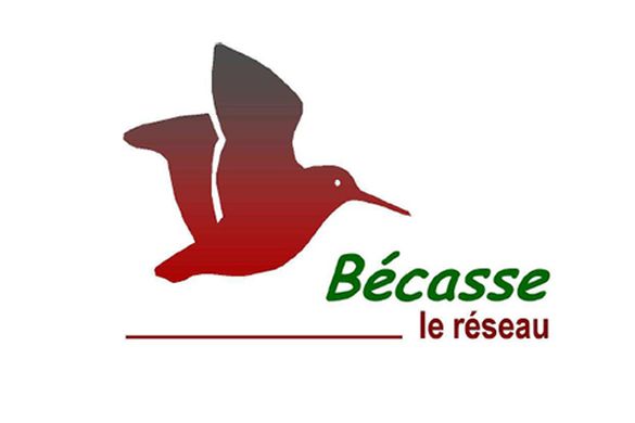 Demande de bague bécasse GY | Formulaires OFB